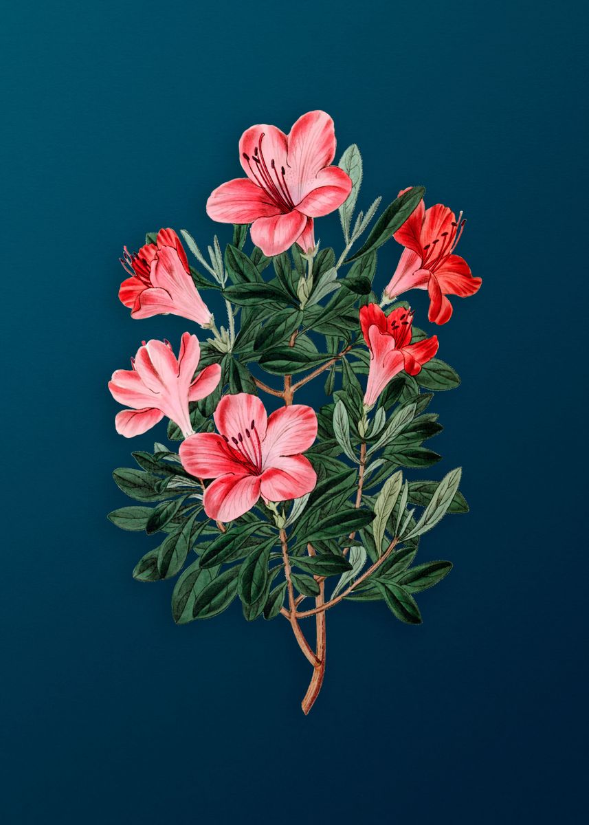 'Brick Red Chinese Azalea' Poster, picture, metal print, paint by Holy ...