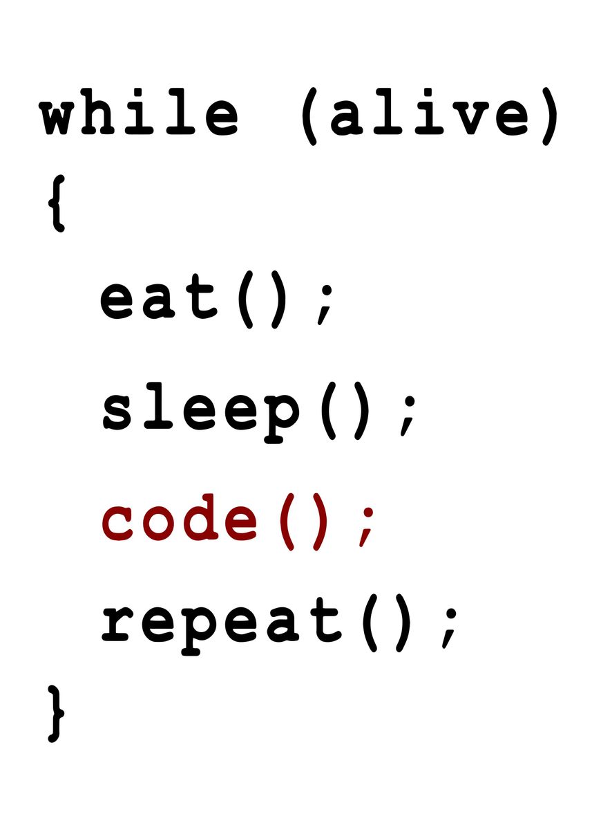 'Programmer Coder' Poster by Metal Posters | Displate