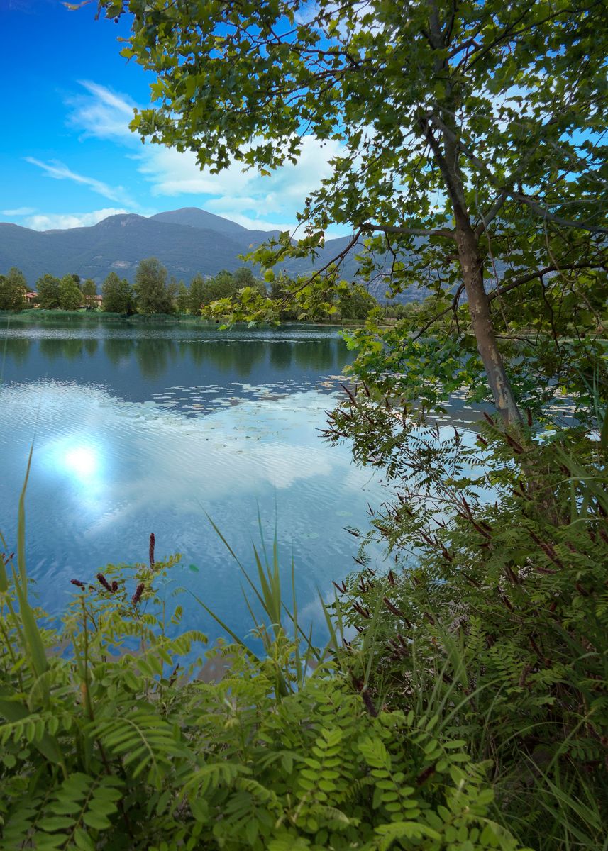 'landscape lake' Poster, picture, metal print, paint by Ornella ...