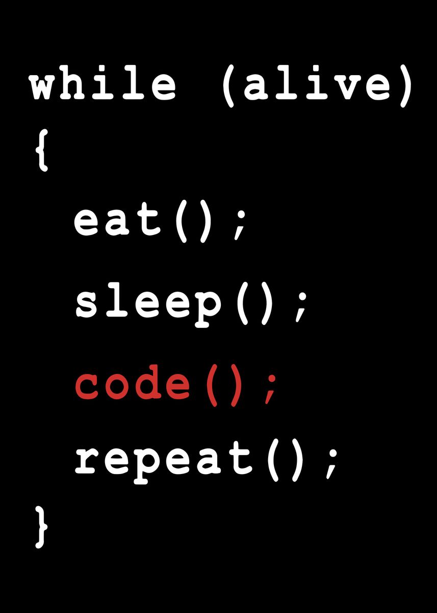 'Programmer Coder' Poster by Metal Posters | Displate