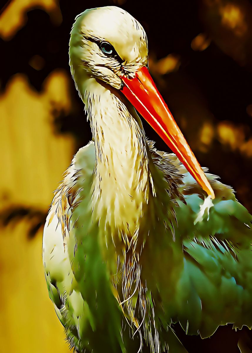 'stork poster' Poster, picture, metal print, paint by LAST LIGHT | Displate