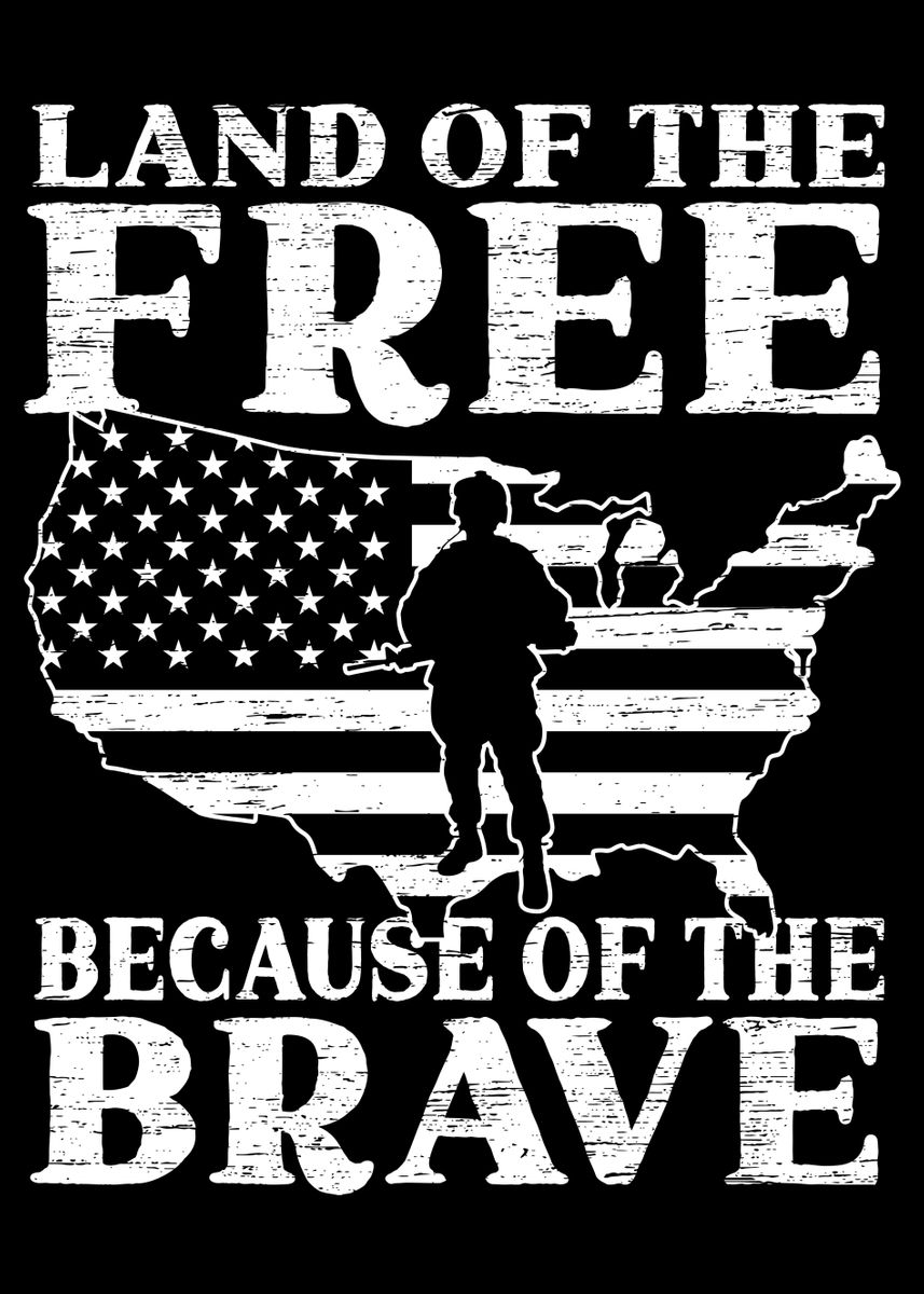 'Land Of The Free' Poster, picture, metal print, paint by NAO | Displate
