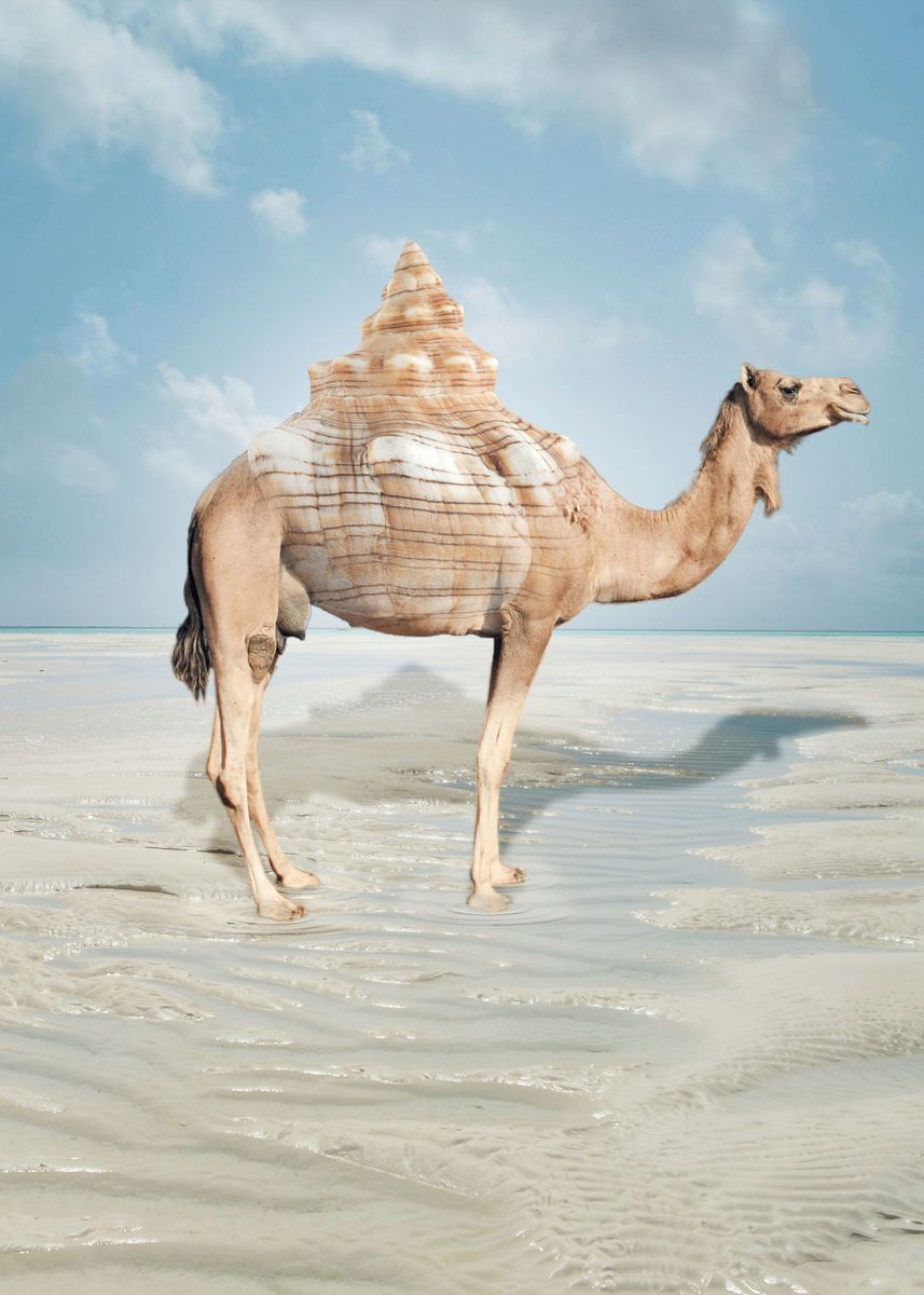 'Mountain Camel' Poster by Plim | Displate