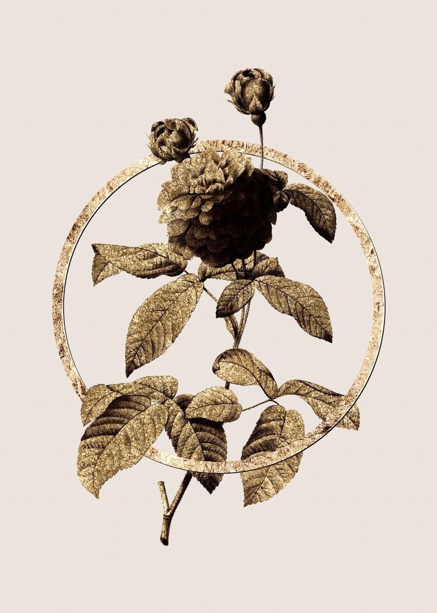 'Gold Agatha Rose Flower' Poster, picture, metal print, paint by Holy ...