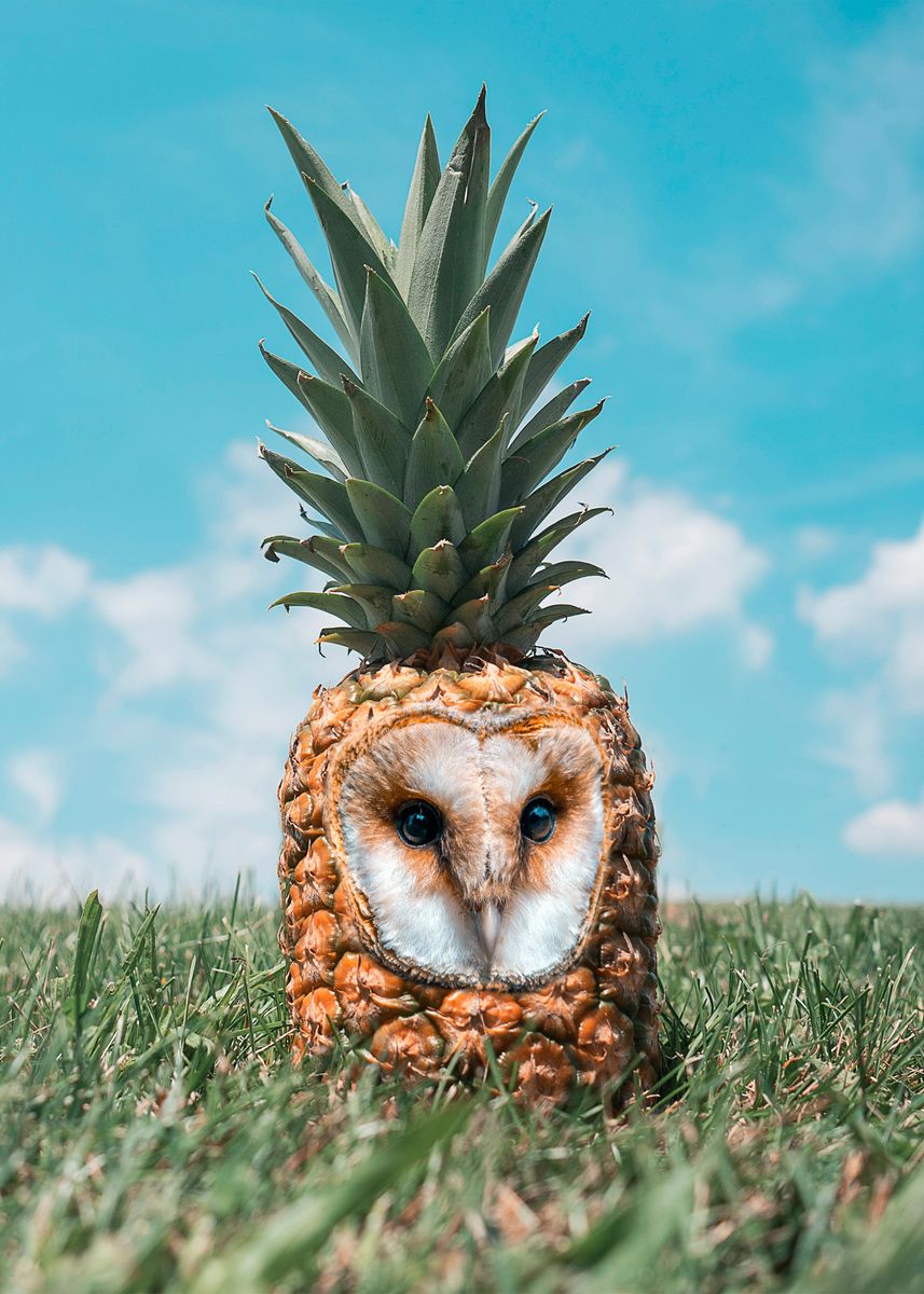 'Pineapple owl' Poster by Plim | Displate