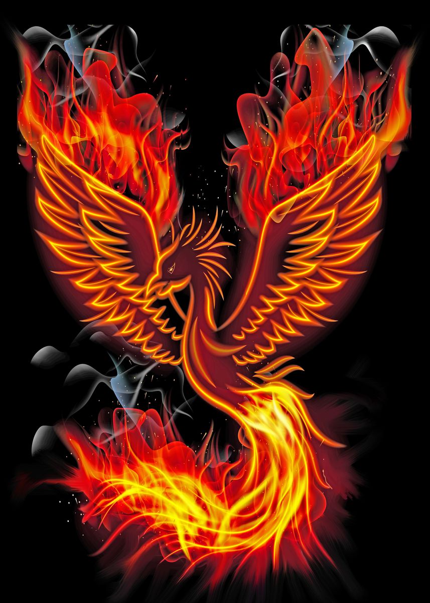 'PHOENIX BIRD' Poster, picture, metal print, paint by GOLDENGENES ...