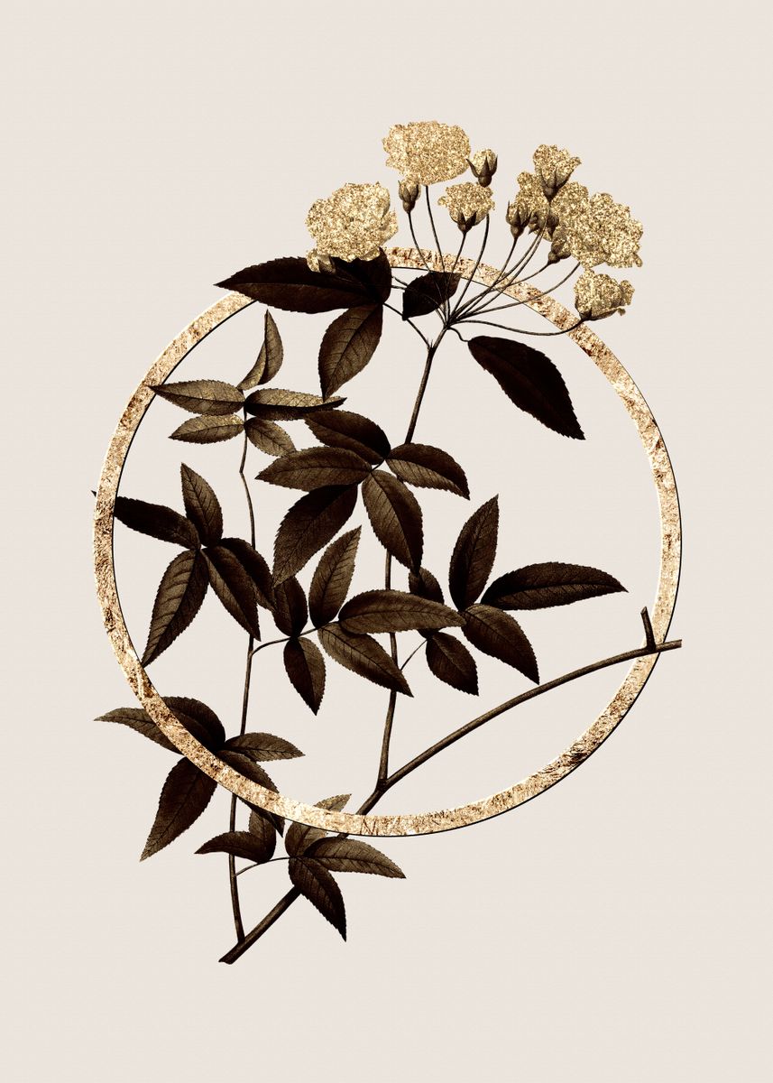 'Gold Lady Banks Rose' Poster, picture, metal print, paint by Holy Rock ...