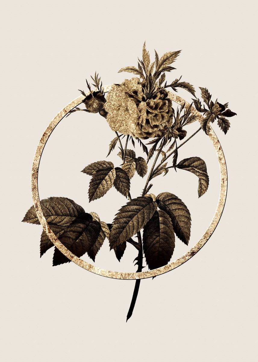 'Gold Agatha Rose Flower' Poster, picture, metal print, paint by Holy ...