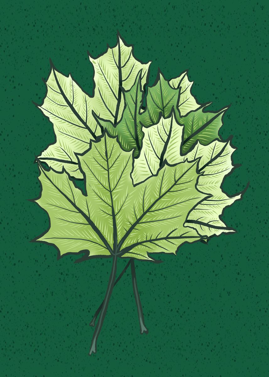 'Green Maple Leaves Spring' Poster, picture, metal print, paint by ...