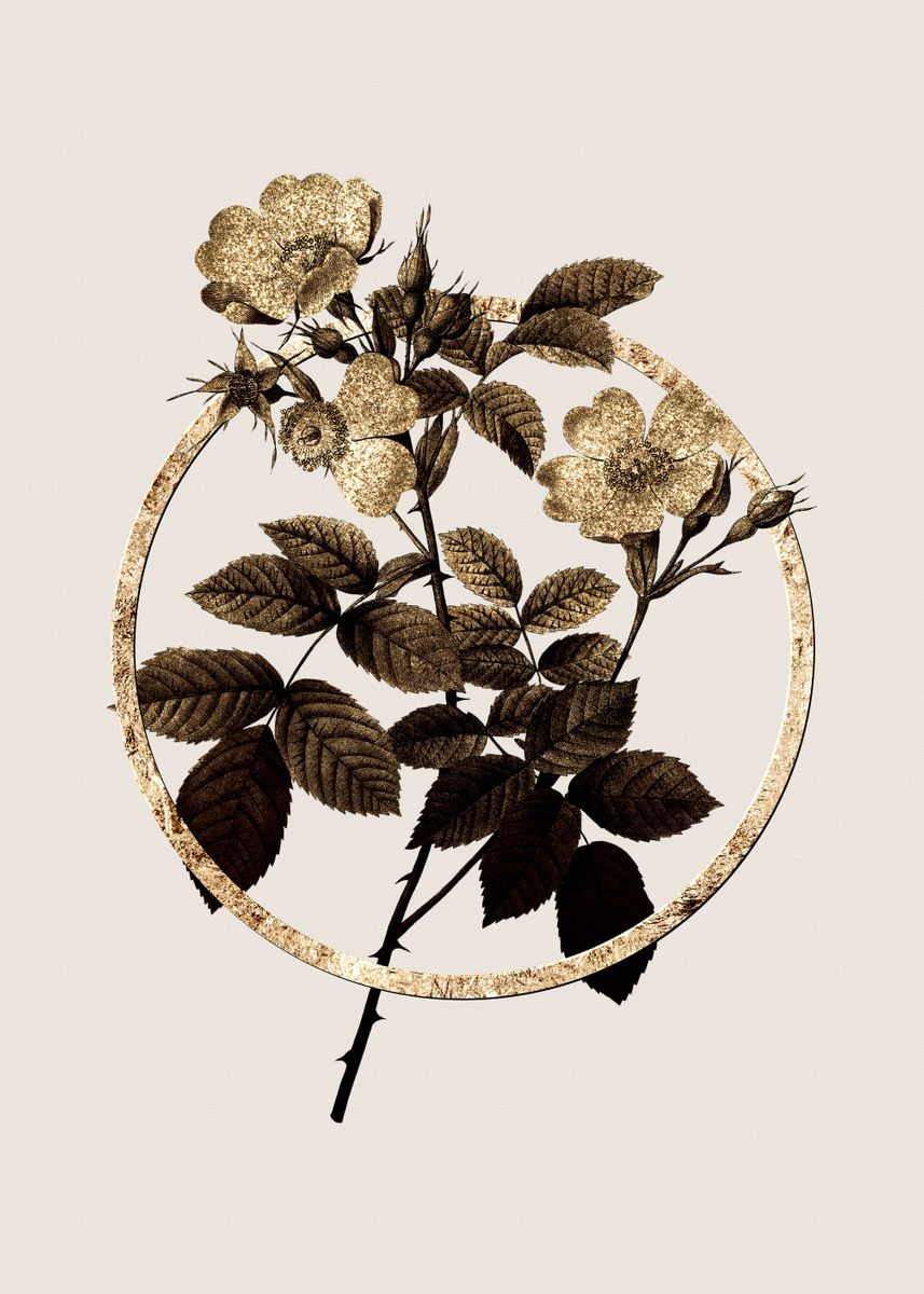 'Gold Styled Field Rose' Poster, picture, metal print, paint by Holy ...