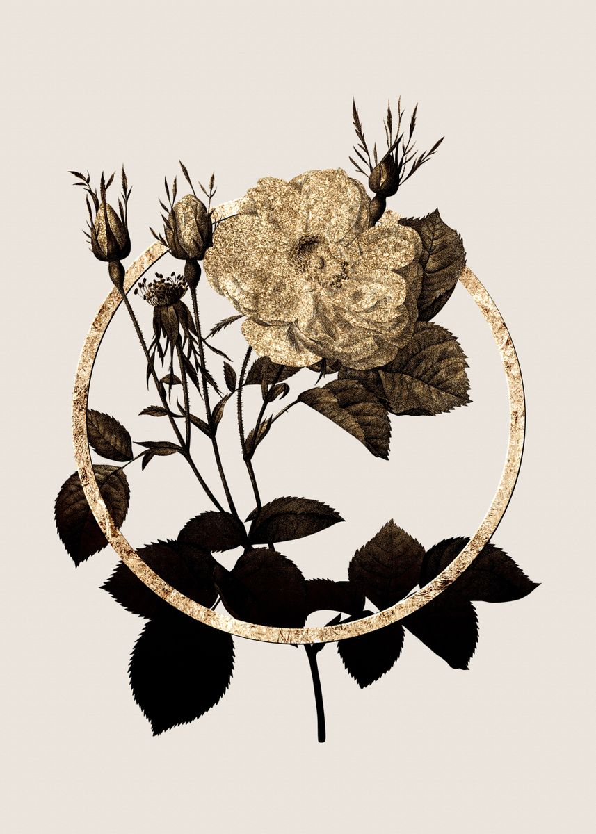 'Gold White Rose of York' Poster, picture, metal print, paint by Holy ...