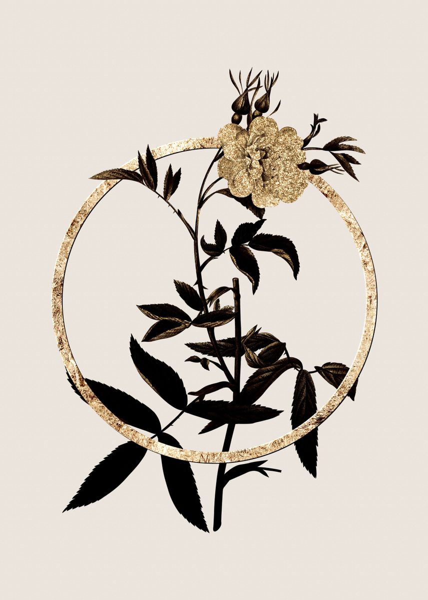 'Gold White Rose of York' Poster, picture, metal print, paint by Holy ...