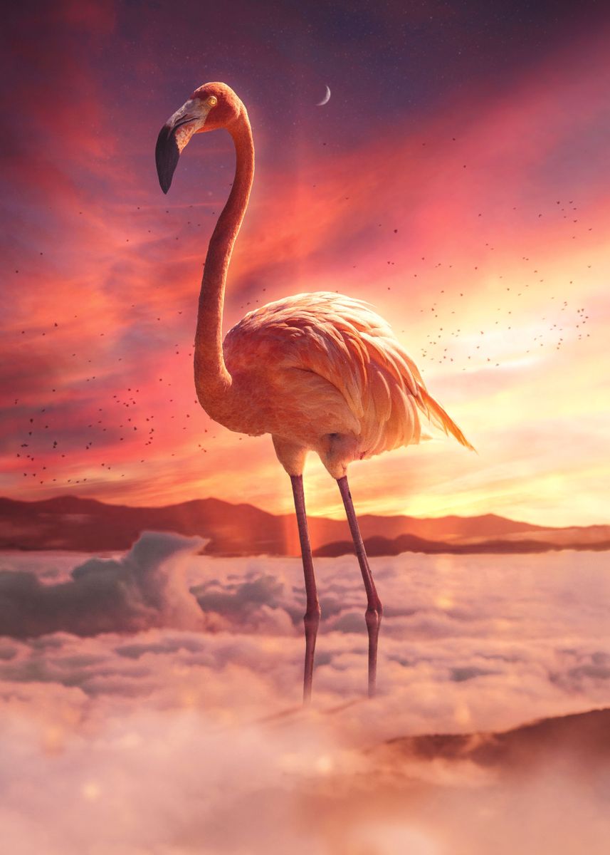 'Flamingo Over the Clouds' Poster by Pascal Wagner | Displate