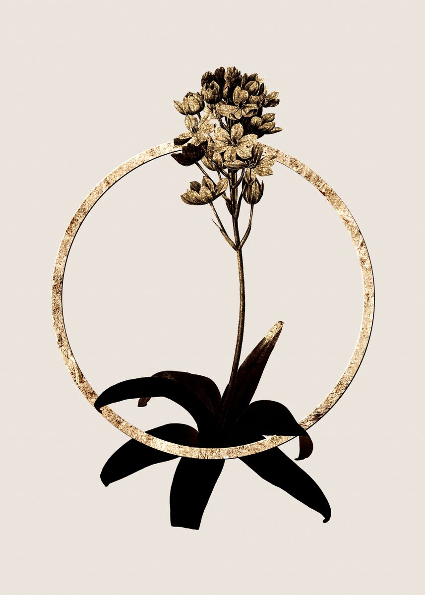 'Gold Sun Star Flower' Poster by Holy Rock Design | Displate