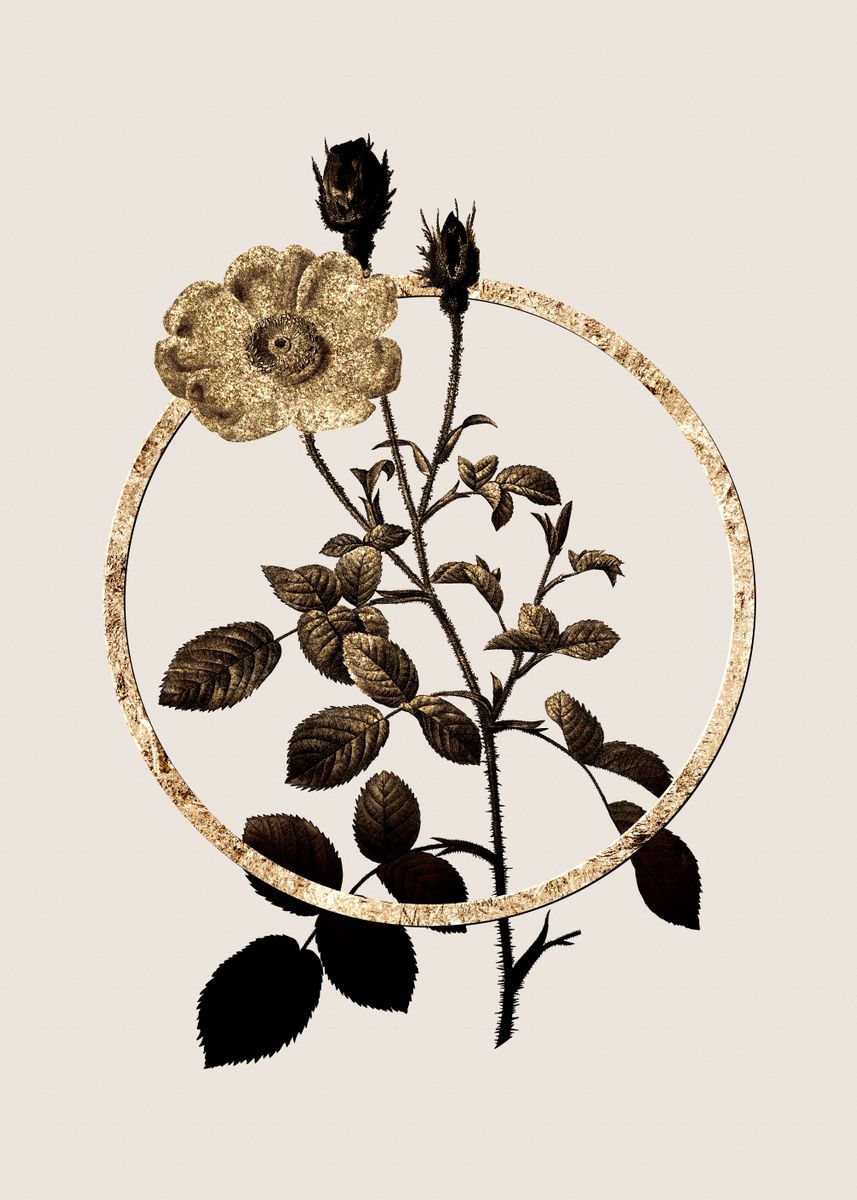 'Gold Sparkling Rose Flower' Poster, picture, metal print, paint by ...