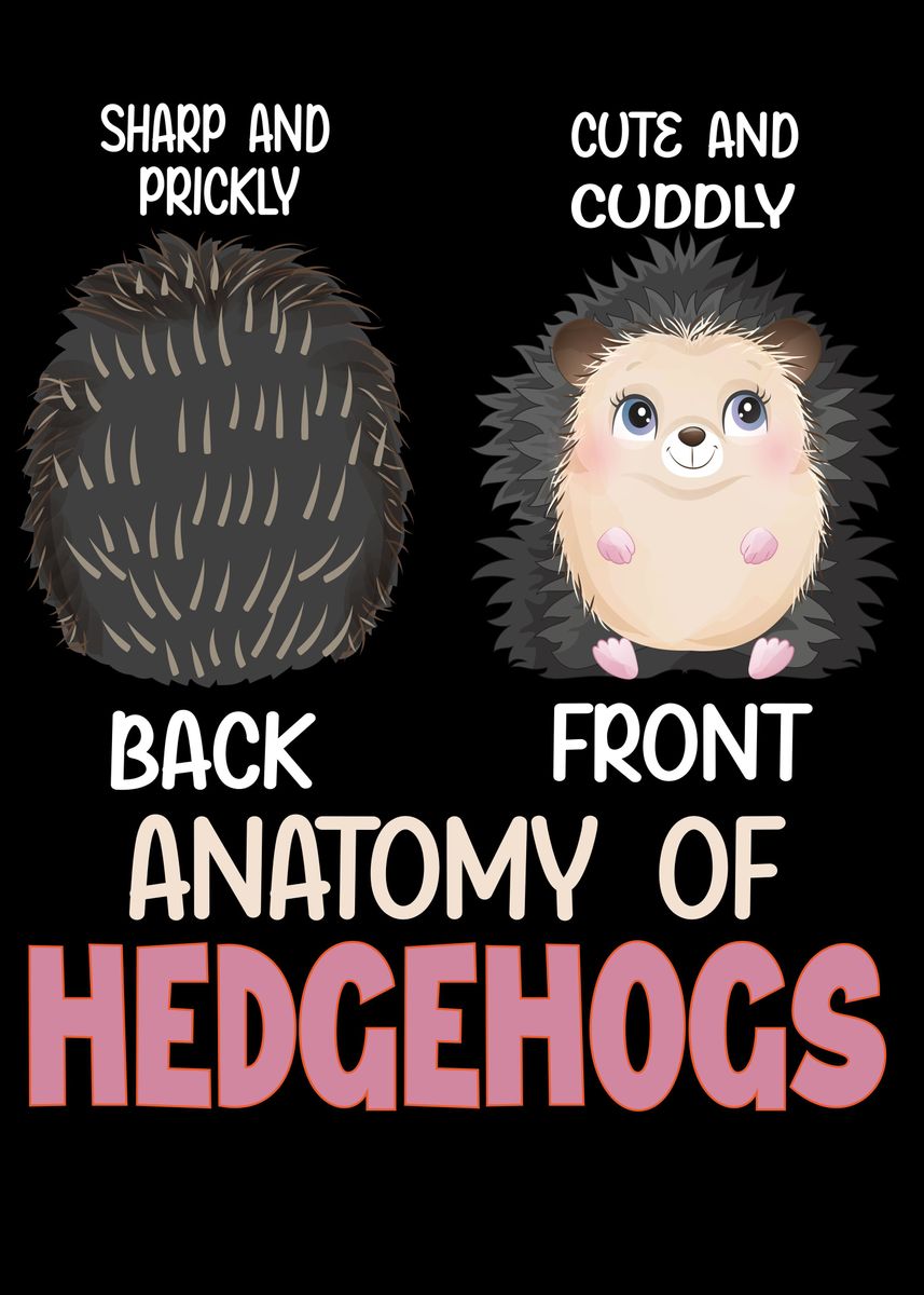 'Anatomy of Hedgehogs' Poster by Muhammed Oeztuerk | Displate