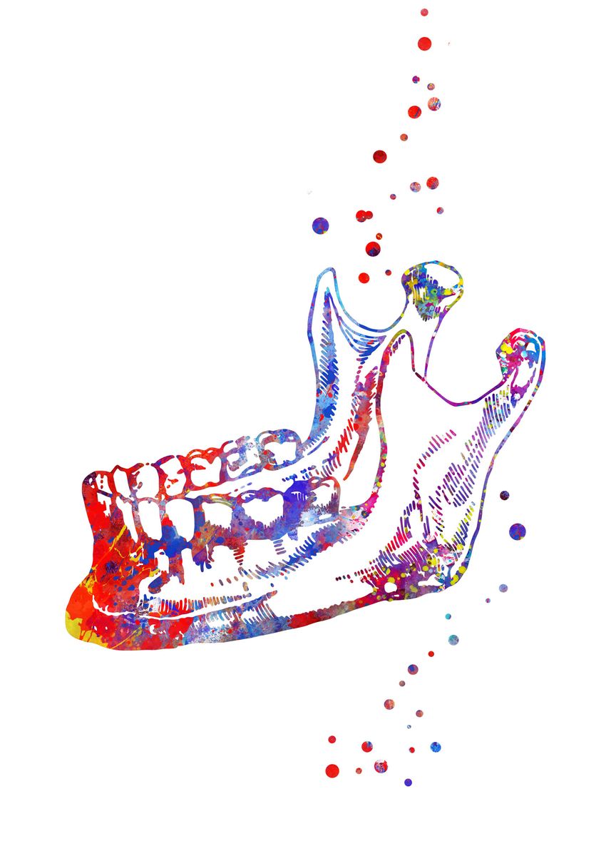 'Human mandible ' Poster, picture, metal print, paint by RosaliasArt ...