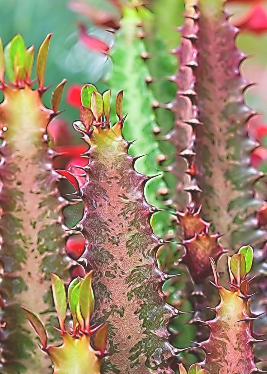 'abstract succulent plant' Poster by Ornella Bonomini | Displate