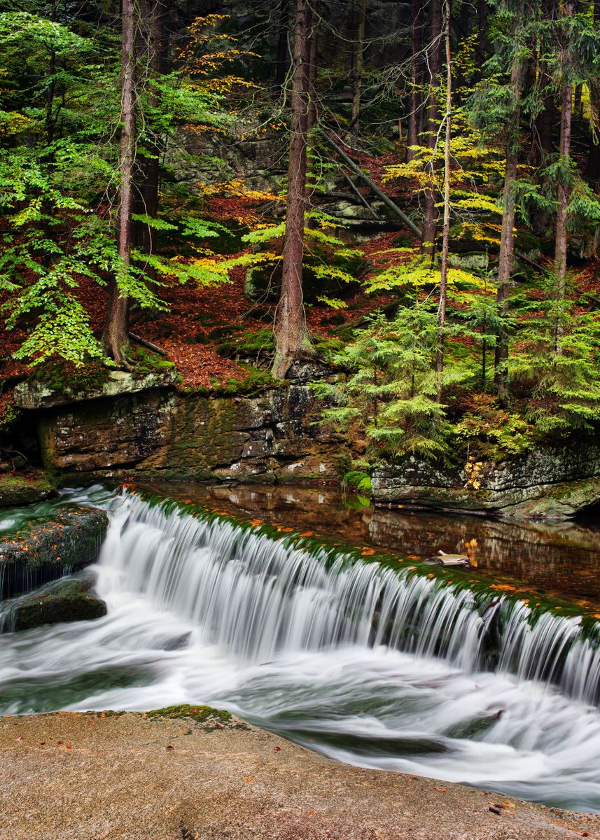 'Autumn Forest Waterfall' Poster, picture, metal print, paint by ...