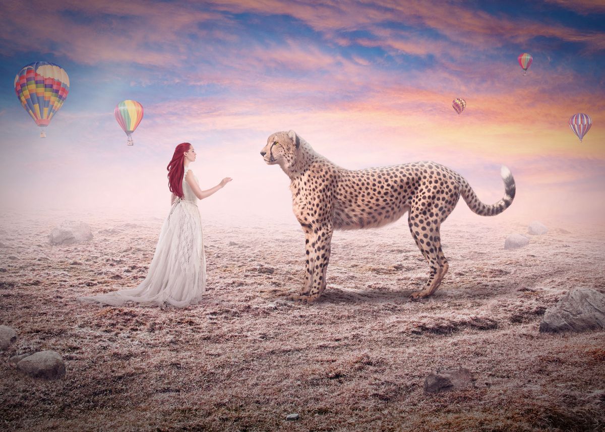 'A Chance Meeting' Poster by Mabelle Elise | Displate