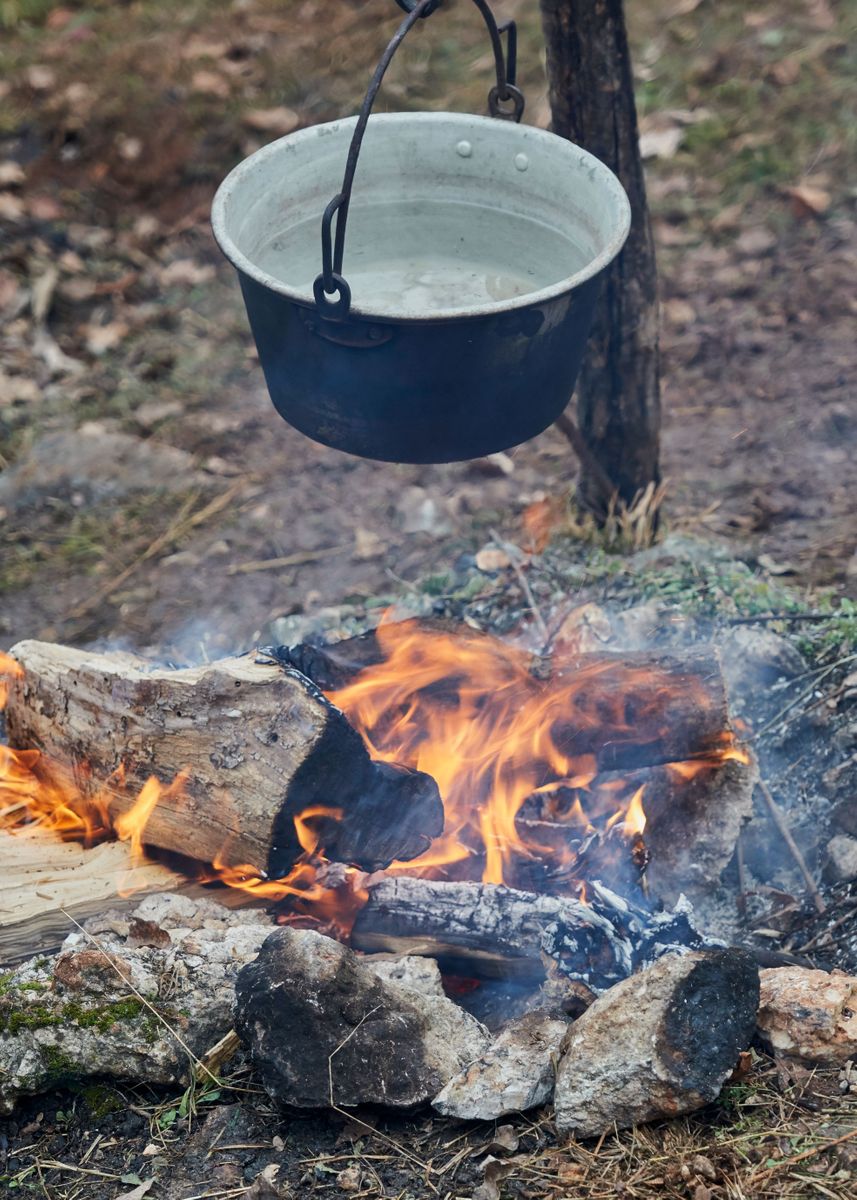 'pot on the fire' Poster, picture, metal print, paint by Ornella ...