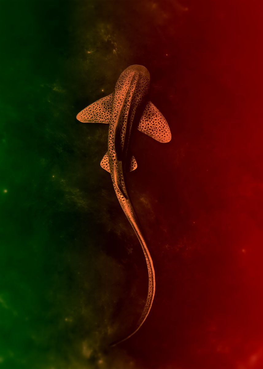 'Shark in space' Poster, picture, metal print, paint by happyantsstudio ...