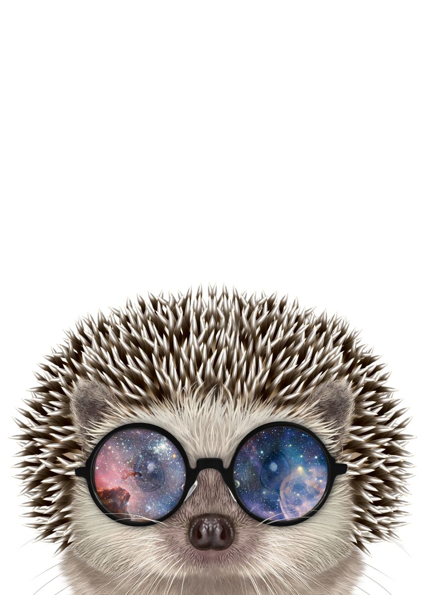 'Hedgehog in Space Sunglass' Poster, picture, metal print, paint by ...