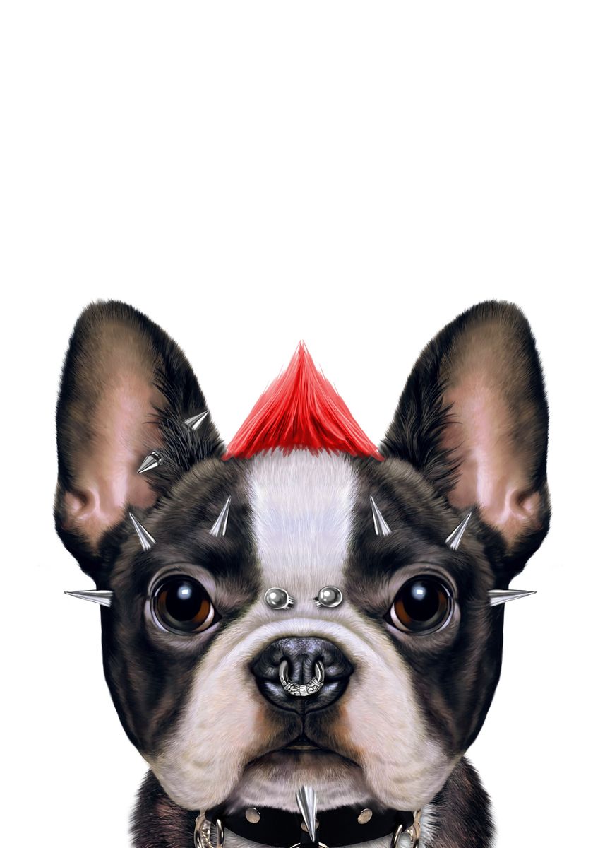 'Punk Rock French Bulldog' Poster by Fox Republic | Displate