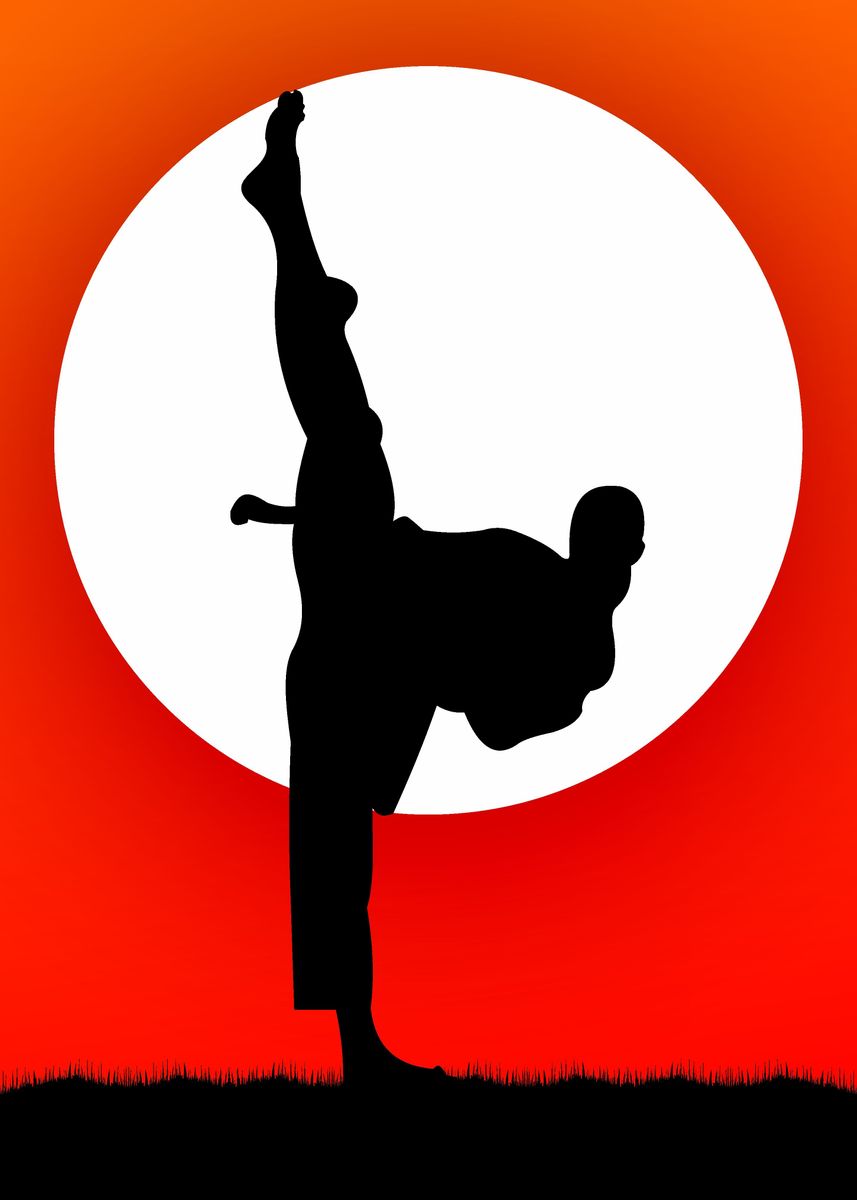 'High Kick master ' Poster by valkry art | Displate