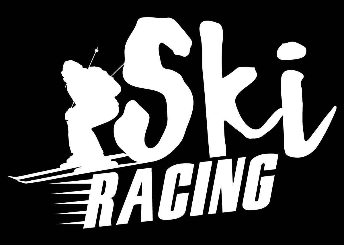 'Ski Racing' Poster by dr3designs | Displate