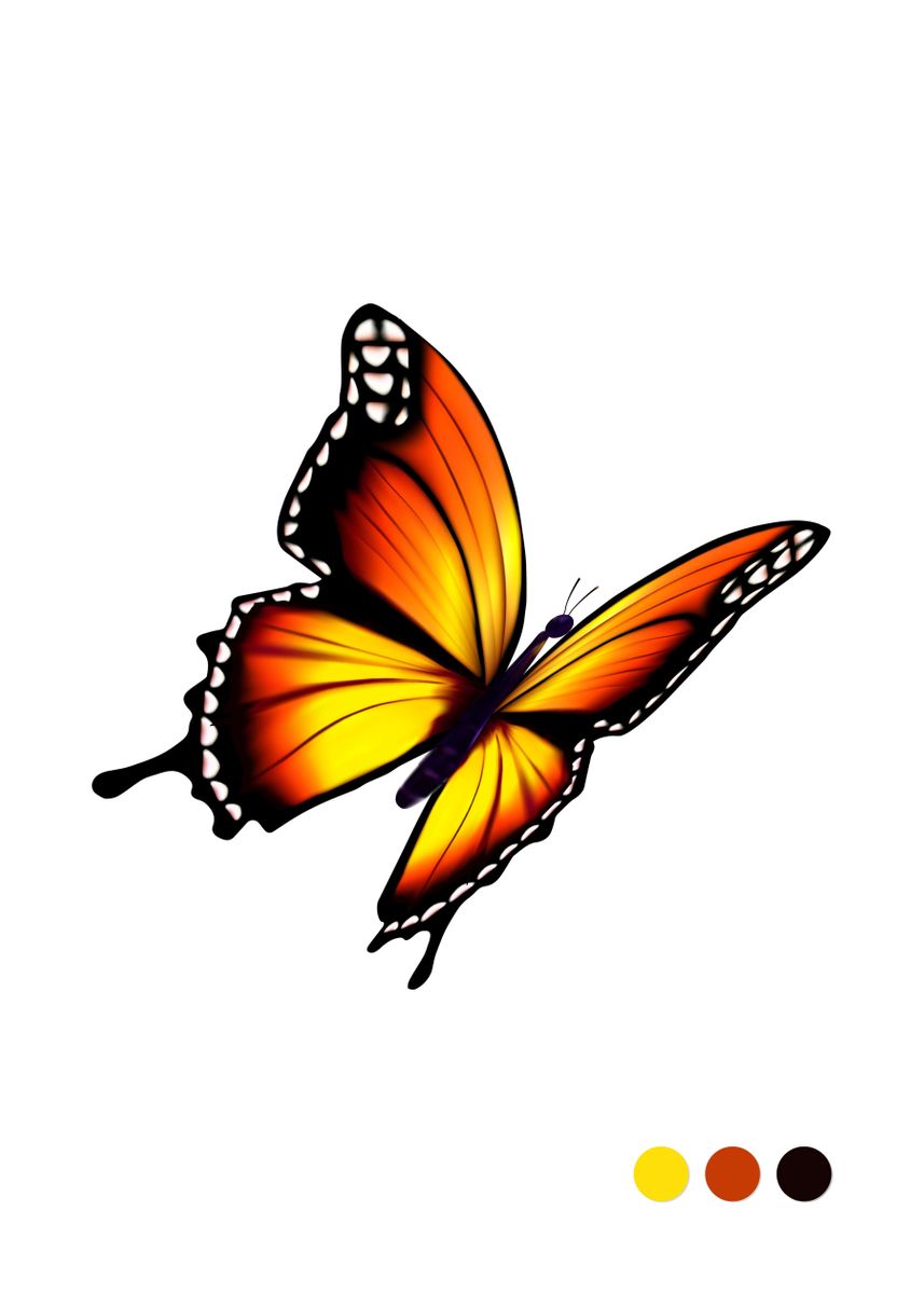 'Orange Butterfly' Poster, picture, metal print, paint by CP Metal ...