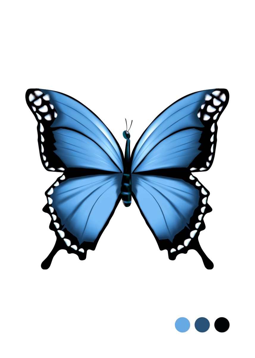 'Blue Butterfly' Poster by CP Metal Posters | Displate