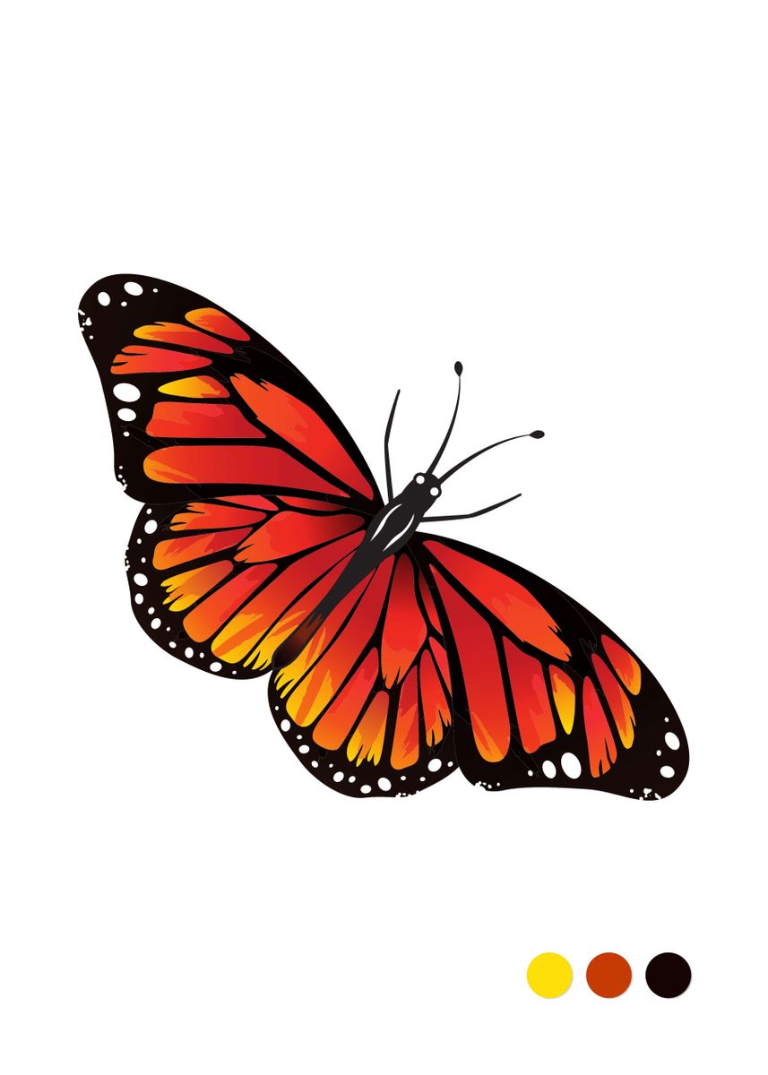 'Orange Butterfly' Poster, picture, metal print, paint by CP Metal ...
