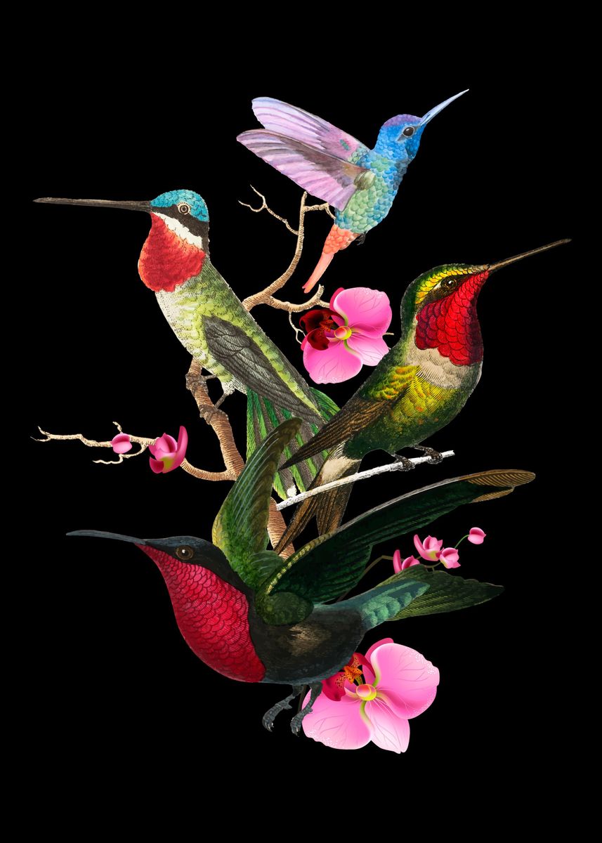 'Hummingbird In Flight Bird' Poster, picture, metal print, paint by ...