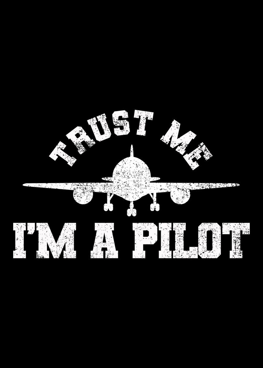 'Pilot Airplane Aviation' Poster, picture, metal print, paint by ...