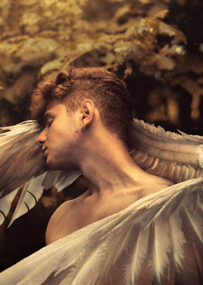 'Icarus ' Poster, picture, metal print, paint by Rosco Adrian Stef ...