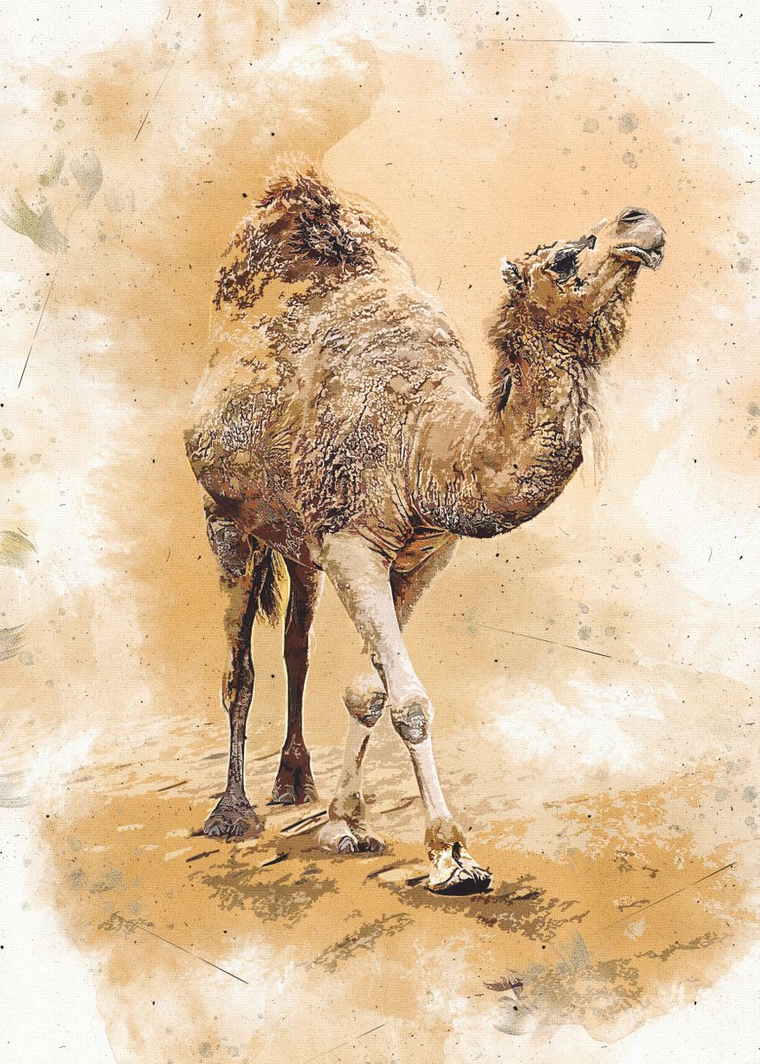 'Camel' Poster, picture, metal print, paint by Gigi Bgm | Displate