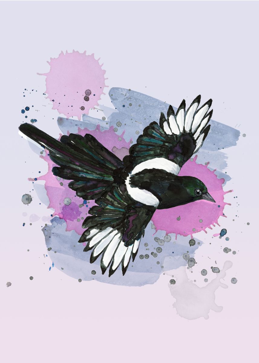 ' A flying magpie' Poster by Bianca Wisseloo | Displate