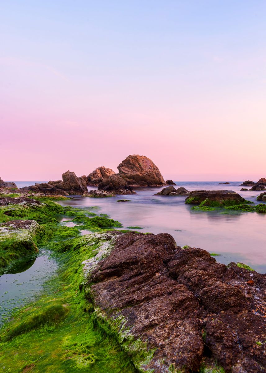 'Violet sea sunset beach' Poster by Vicen Design | Displate