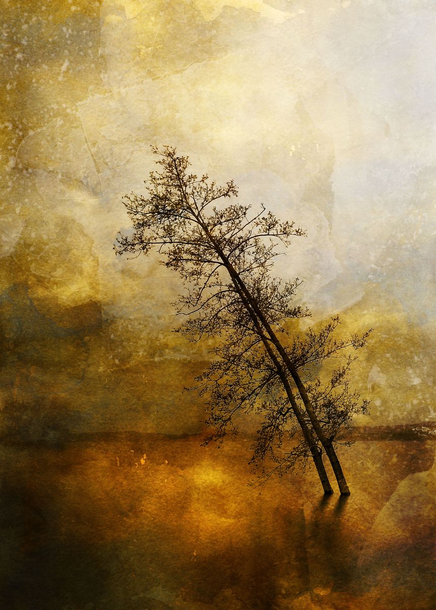 'Lonely Tree' Poster, picture, metal print, paint by Delaquadra Art ...