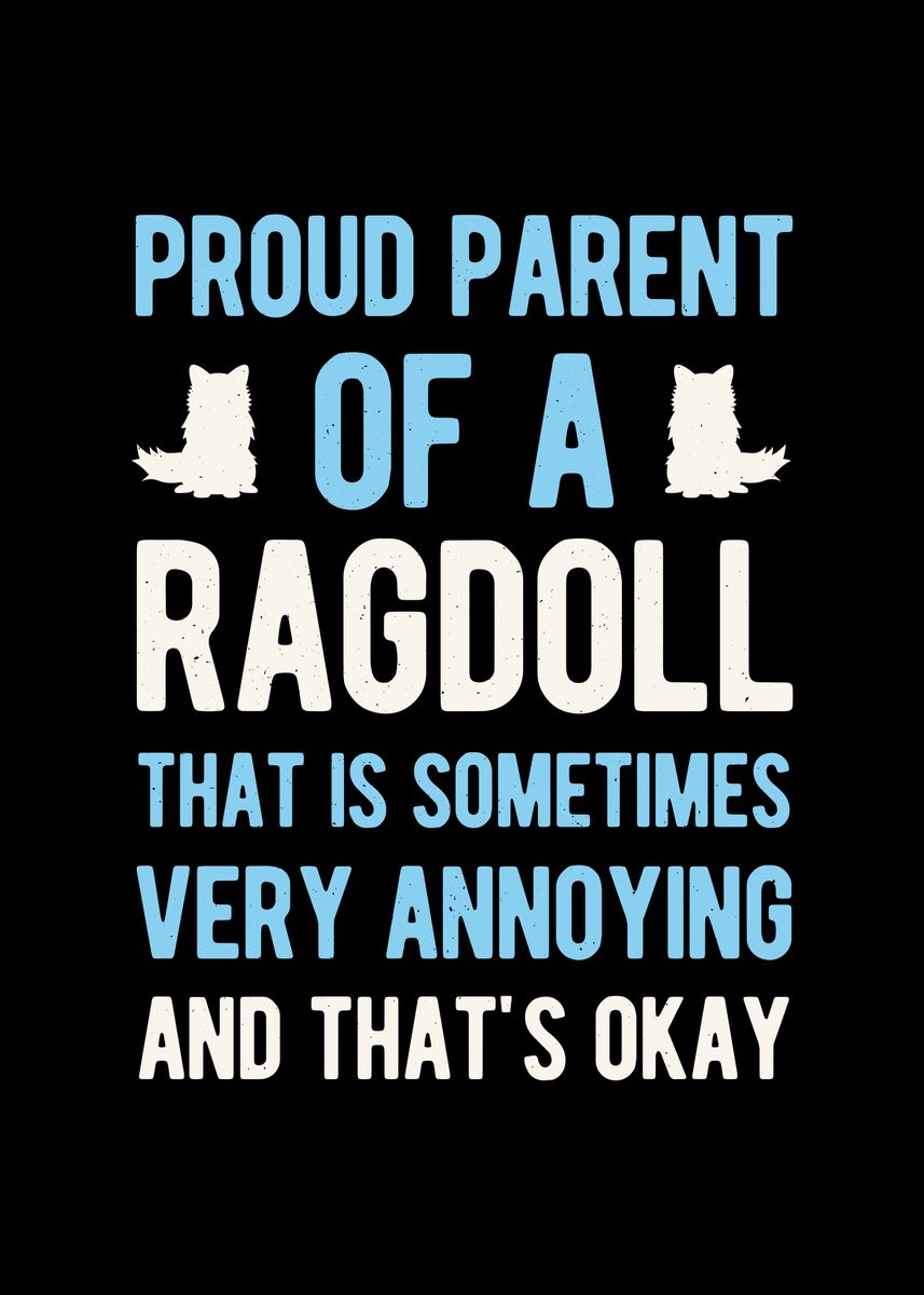 'Funny Ragdoll Cat' Poster by Visualz | Displate