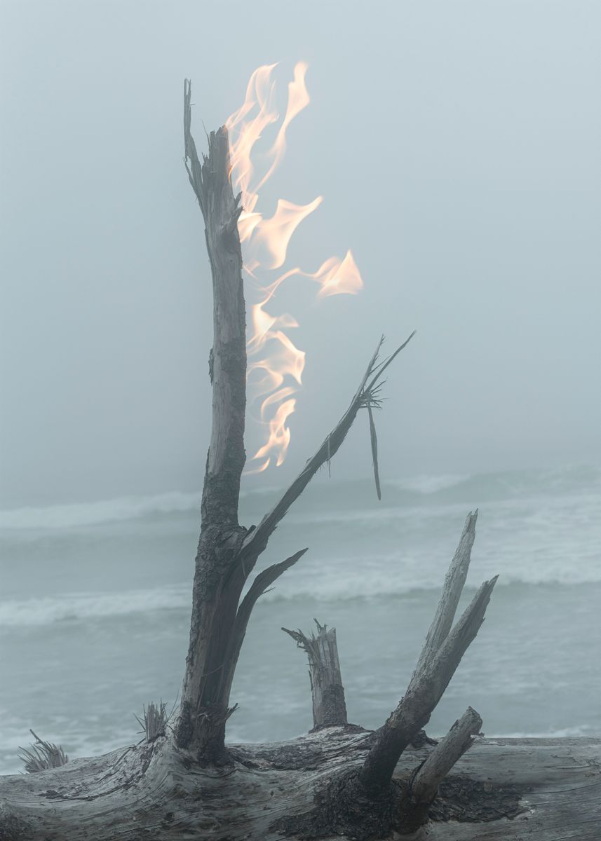 'Torch' Poster, picture, metal print, paint by happyantsstudio | Displate