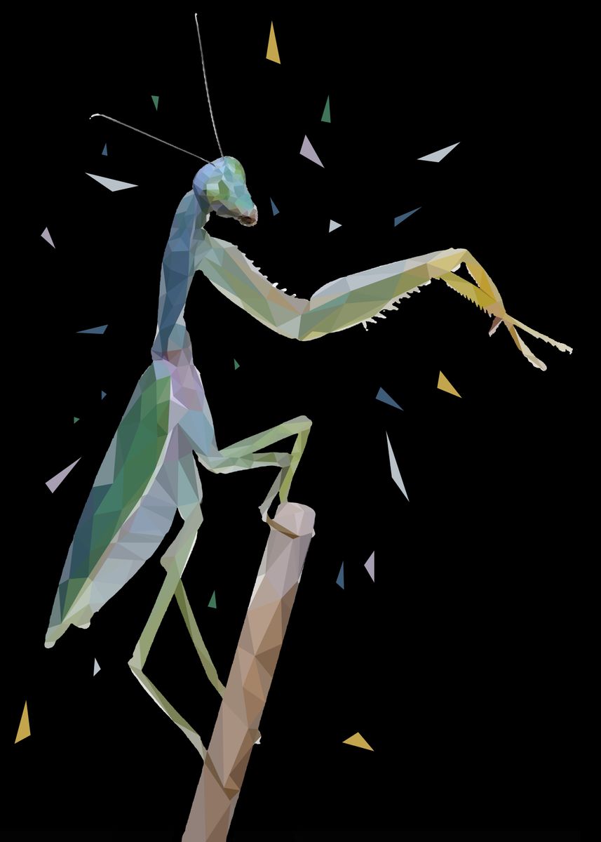 'mantis low poly' Poster, picture, metal print, paint by INSPIRE ...