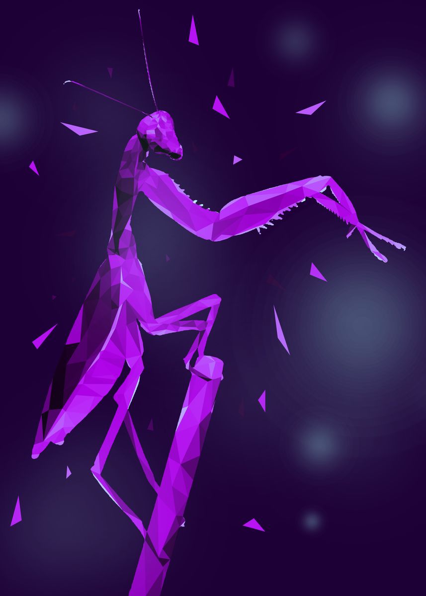 'mantis low poly' Poster, picture, metal print, paint by INSPIRE ...