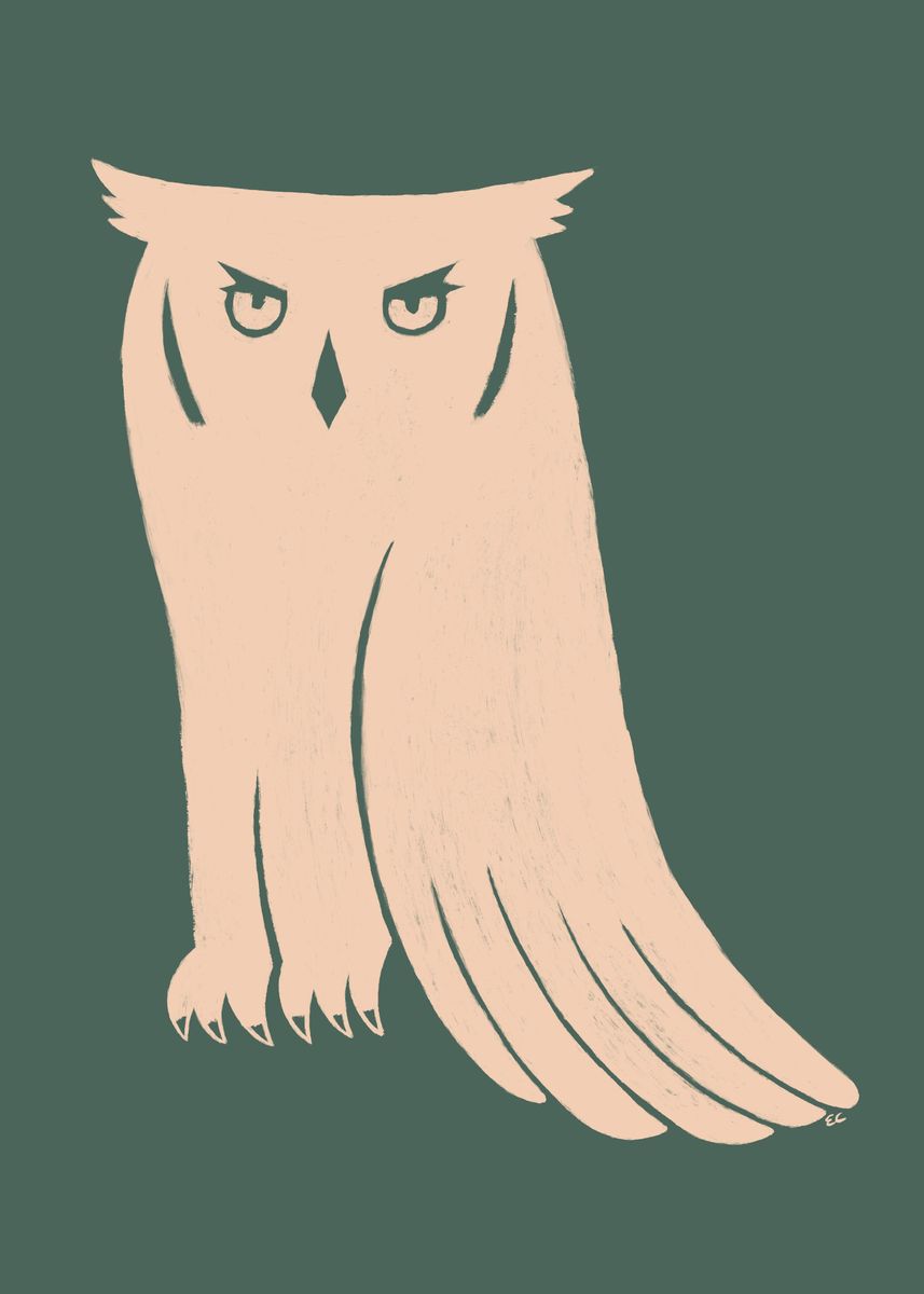 'Angry owl' Poster by Elena Cherchi | Displate