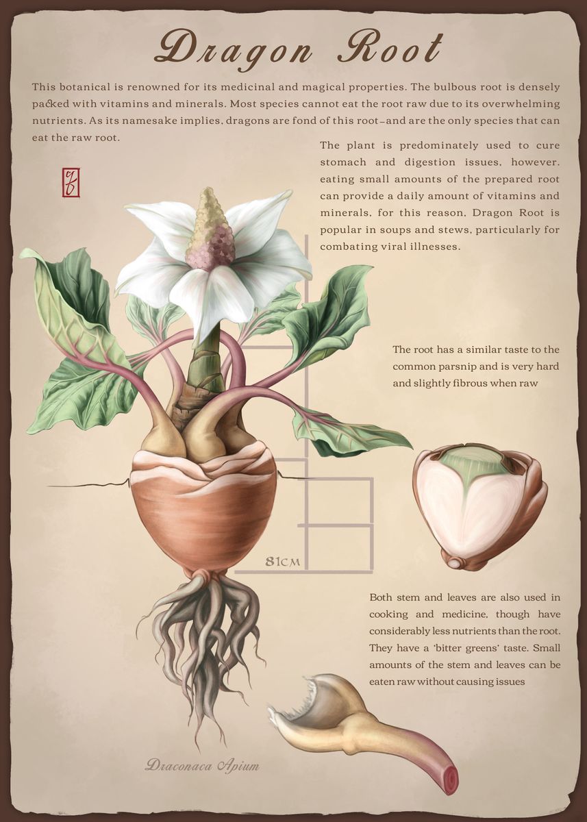 'Dragon Root' Poster, picture, metal print, paint by Chauncy Felisz ...