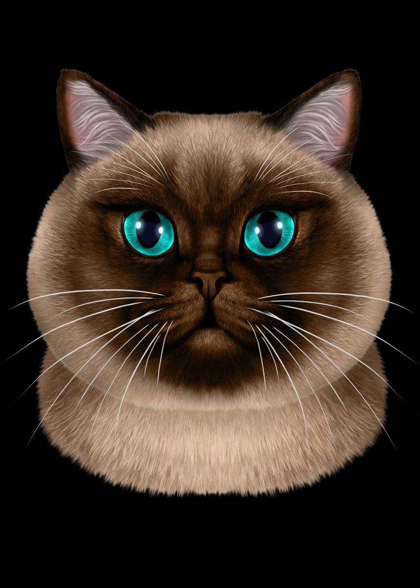 'Siamese Chubby Cat' Poster, picture, metal print, paint by Jeff | Displate