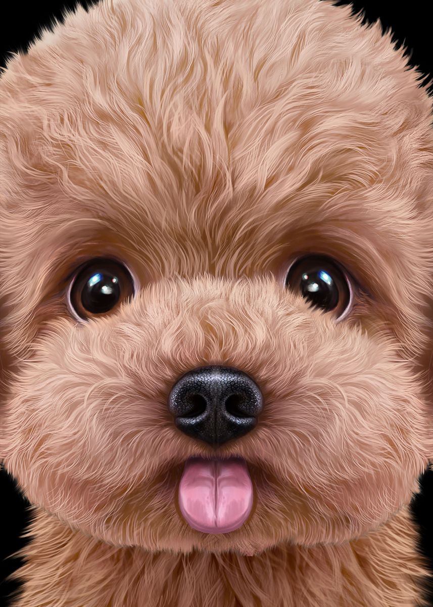 'Poodle Dog Face' Poster, picture, metal print, paint by Jeff | Displate