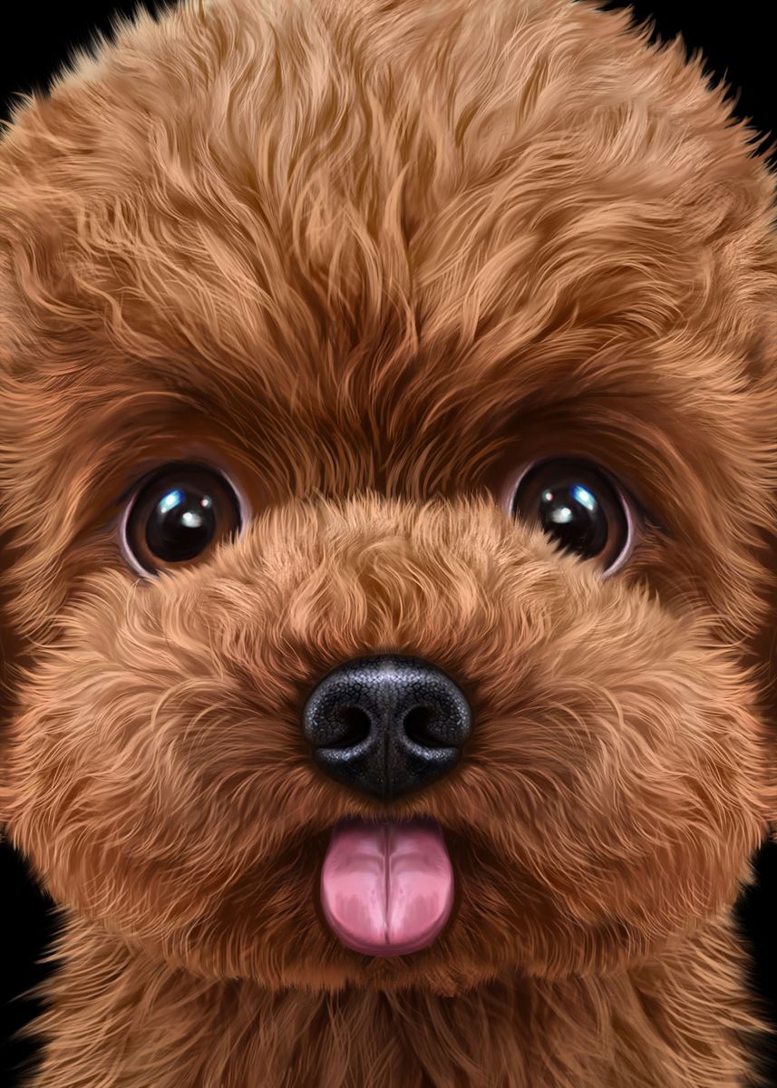 'Poodle Dog Face' Poster, picture, metal print, paint by Jeff | Displate