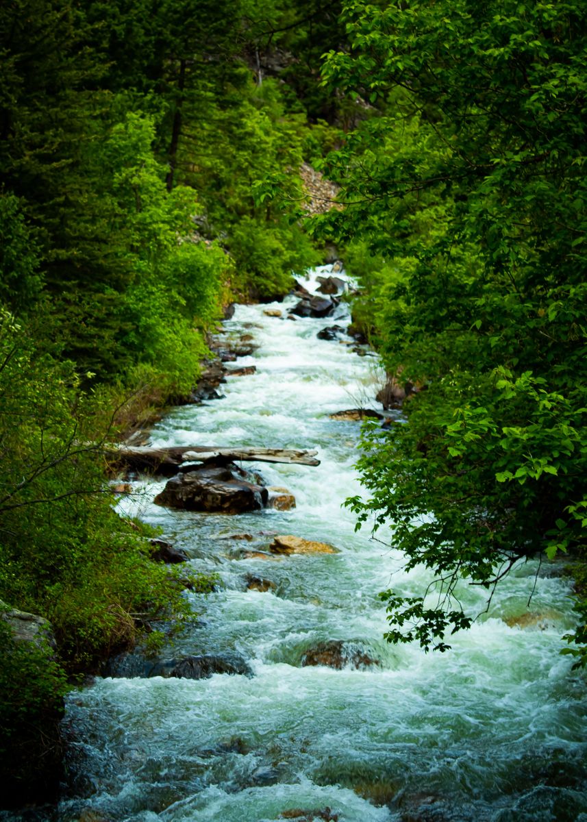 'upstream ' Poster by Nicholas Cat | Displate